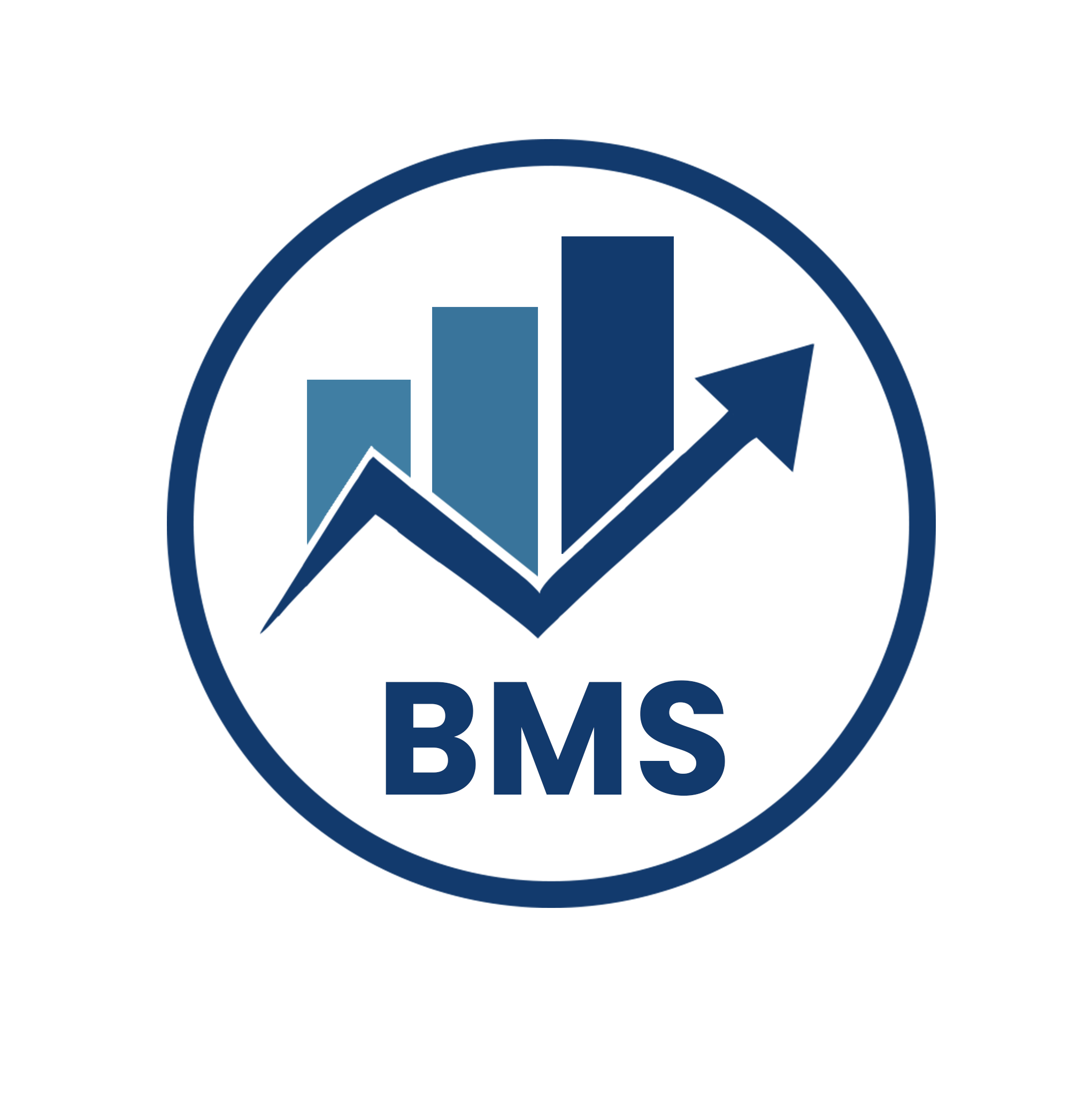 Business Monitoring System